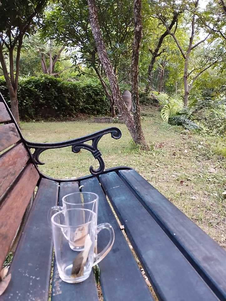 Photos of Syat House | Luxury Villa by Riverside - Villa in Jim Corbett ...