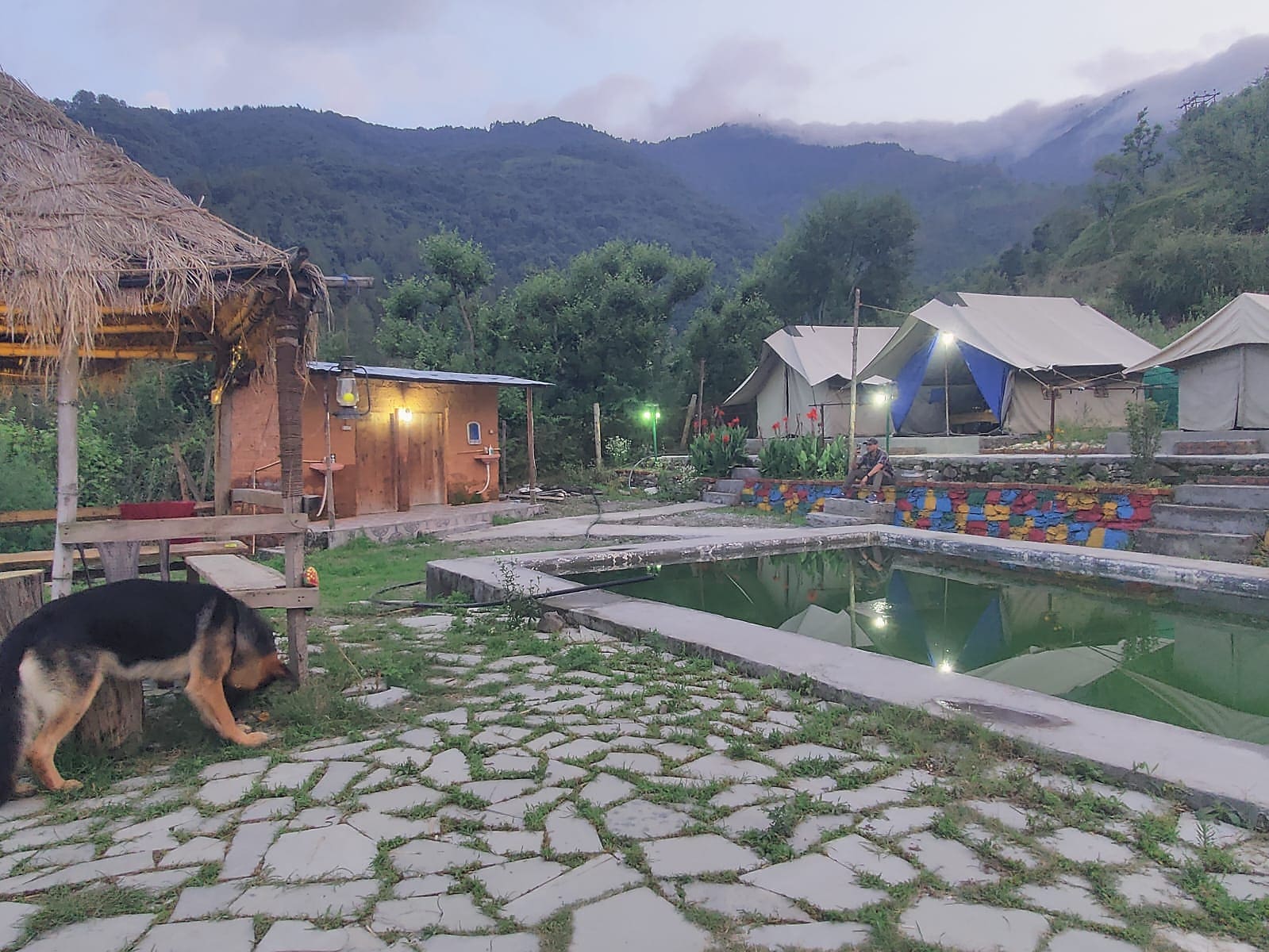 Panchvati Eco Homestay (Home away from Home) 𝗕𝗢𝗢𝗞 Chakrata Cottage 𝘄𝗶𝘁𝗵 ...
