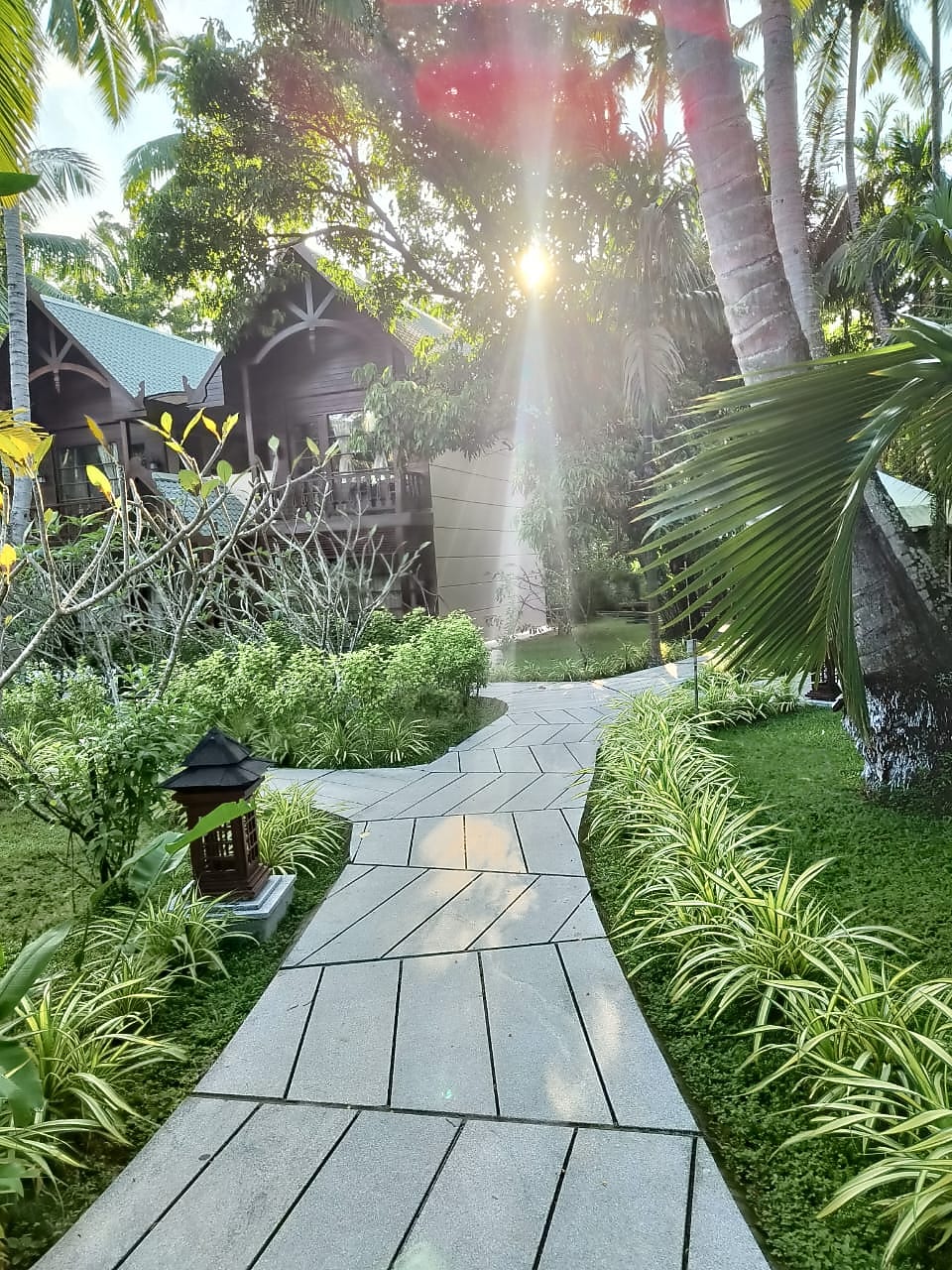 Sea Shell Neil Island 𝗕𝗢𝗢𝗞 Neil Island Resort 𝘄𝗶𝘁𝗵 𝗙𝗥𝗘𝗘 𝗖𝗮𝗻𝗰𝗲𝗹𝗹𝗮𝘁𝗶𝗼𝗻