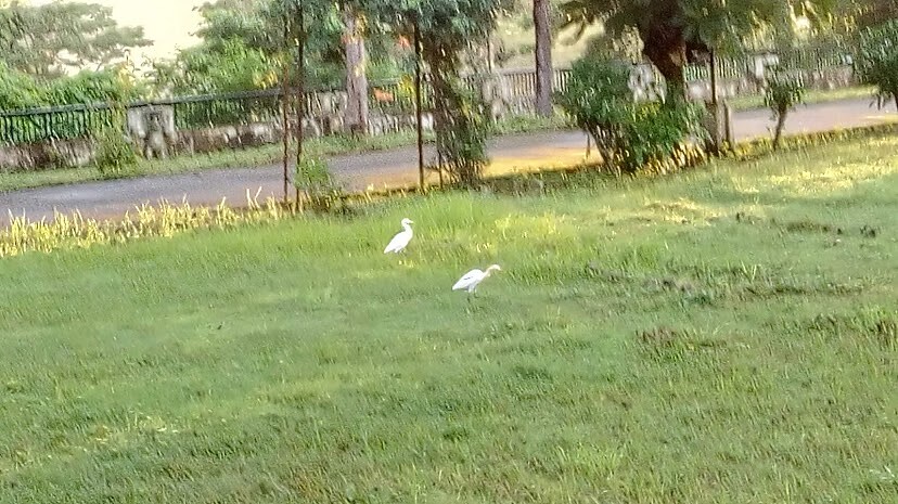 GMVN Hotel Dakpathar 𝗕𝗢𝗢𝗞 Vikasnagar Hotel 𝘄𝗶𝘁𝗵 𝗙𝗥𝗘𝗘 𝗖𝗮𝗻𝗰𝗲𝗹𝗹𝗮𝘁𝗶𝗼𝗻