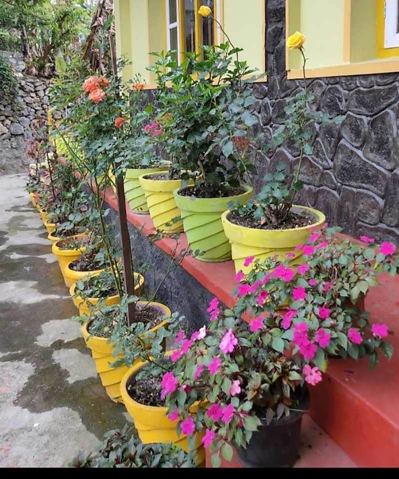 Photos of MISBA Homestay - Homestay in Kodaikanal