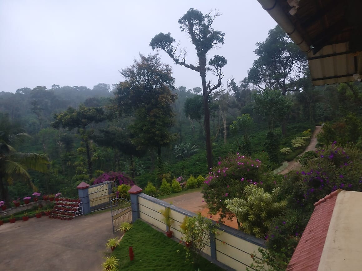 Photos of Cosy homestay amidst coffee plantation - Homestay in Coorg