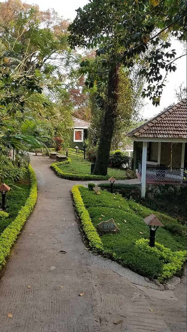 Tall Trees Resort Munnar Resort Price, Address & Reviews