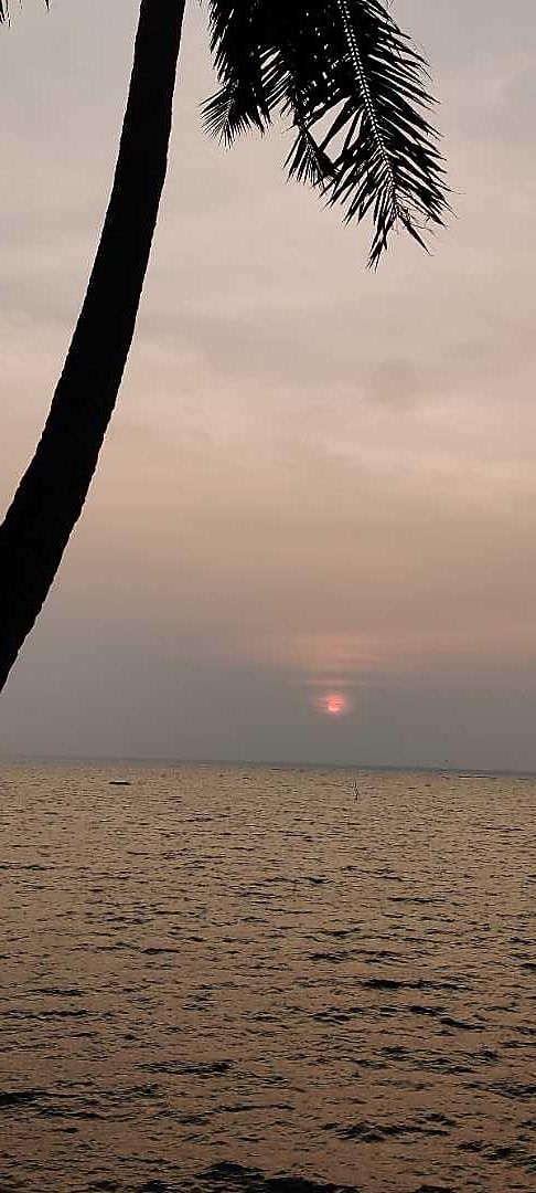 Backwater Ripples Kumarakom Resort Price, Address & Reviews