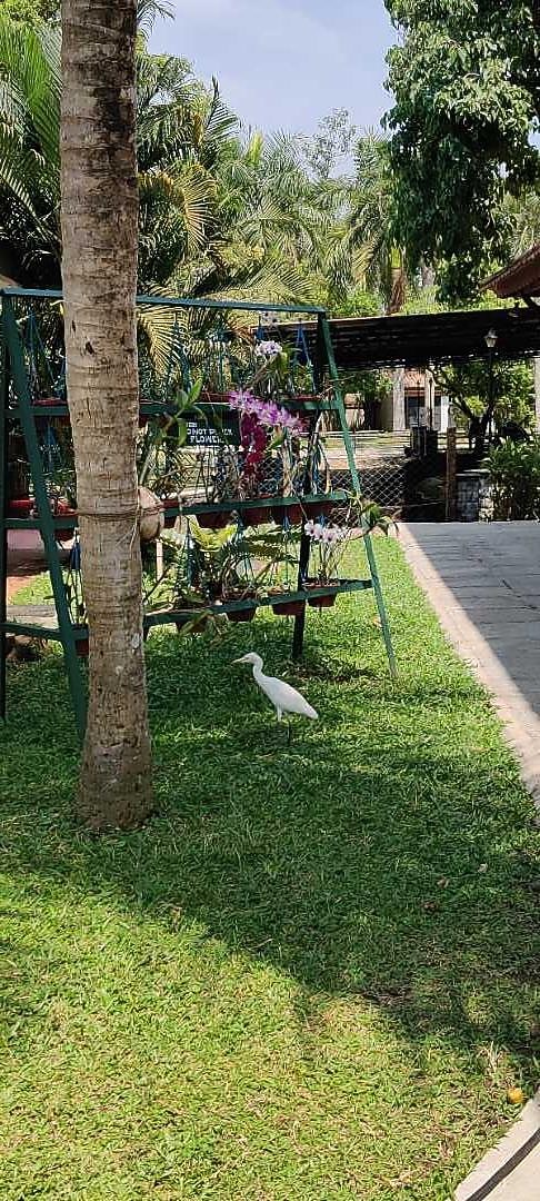 Backwater Ripples Kumarakom Resort Price, Address & Reviews