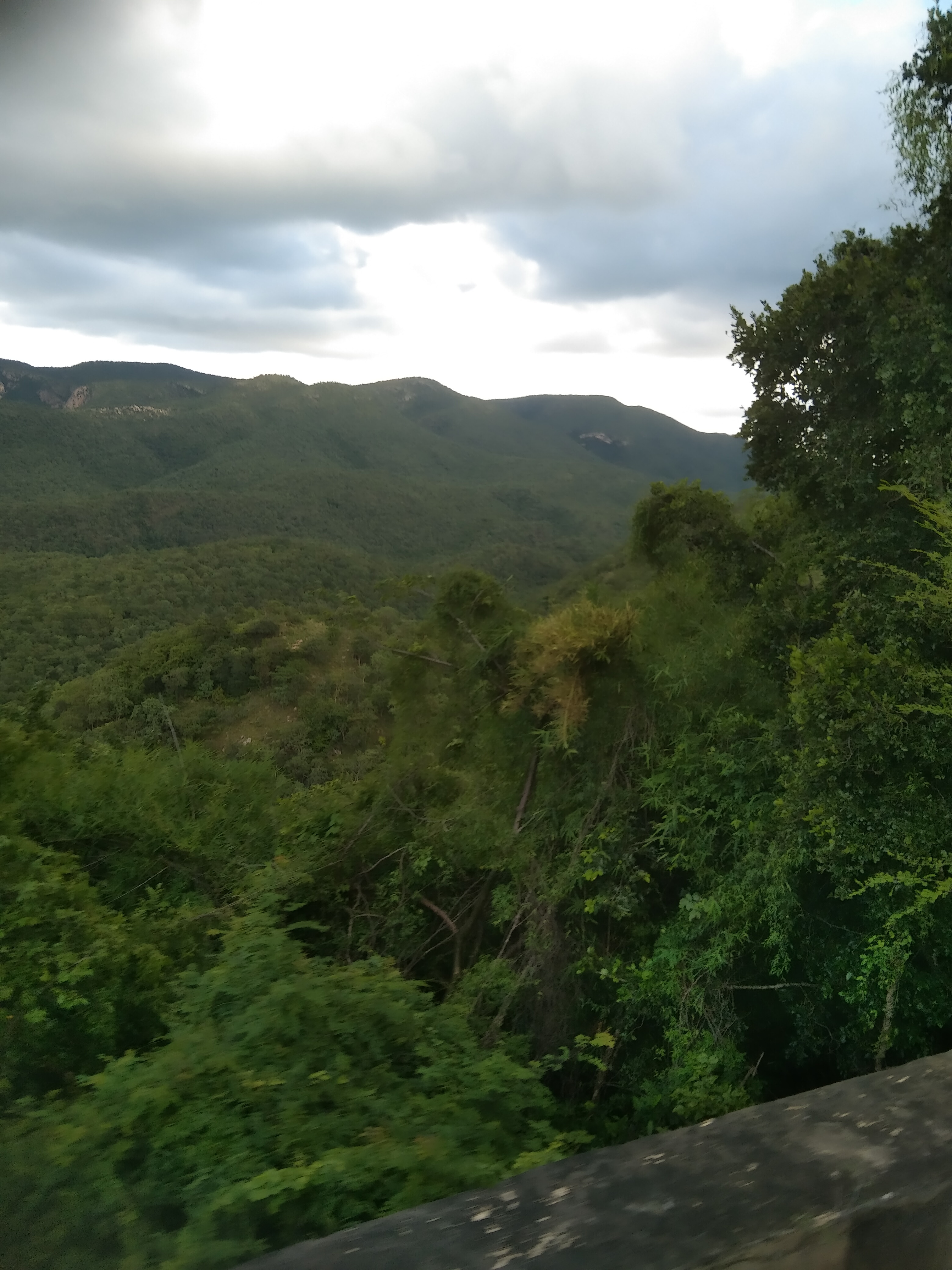 PSK GRAND LUXURY ROOMS 𝗕𝗢𝗢𝗞 Nellore Hotel 𝘄𝗶𝘁𝗵 ₹𝟬 𝗣𝗔𝗬𝗠𝗘𝗡𝗧