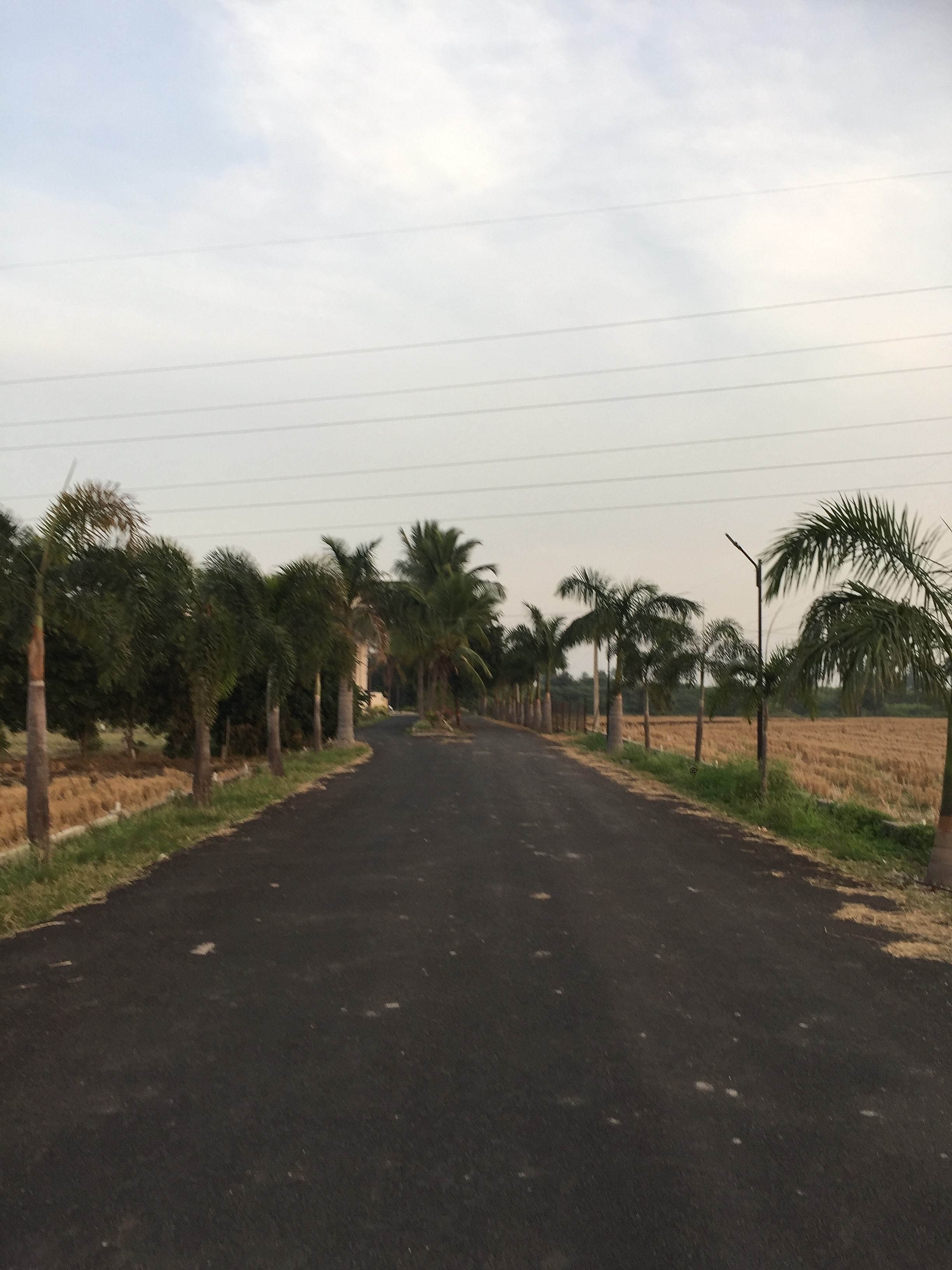 Royal Rich County 𝗕𝗢𝗢𝗞 Gangavathi Hotel 𝘄𝗶𝘁𝗵 𝗙𝗥𝗘𝗘 𝗖𝗮𝗻𝗰𝗲𝗹𝗹𝗮𝘁𝗶𝗼𝗻