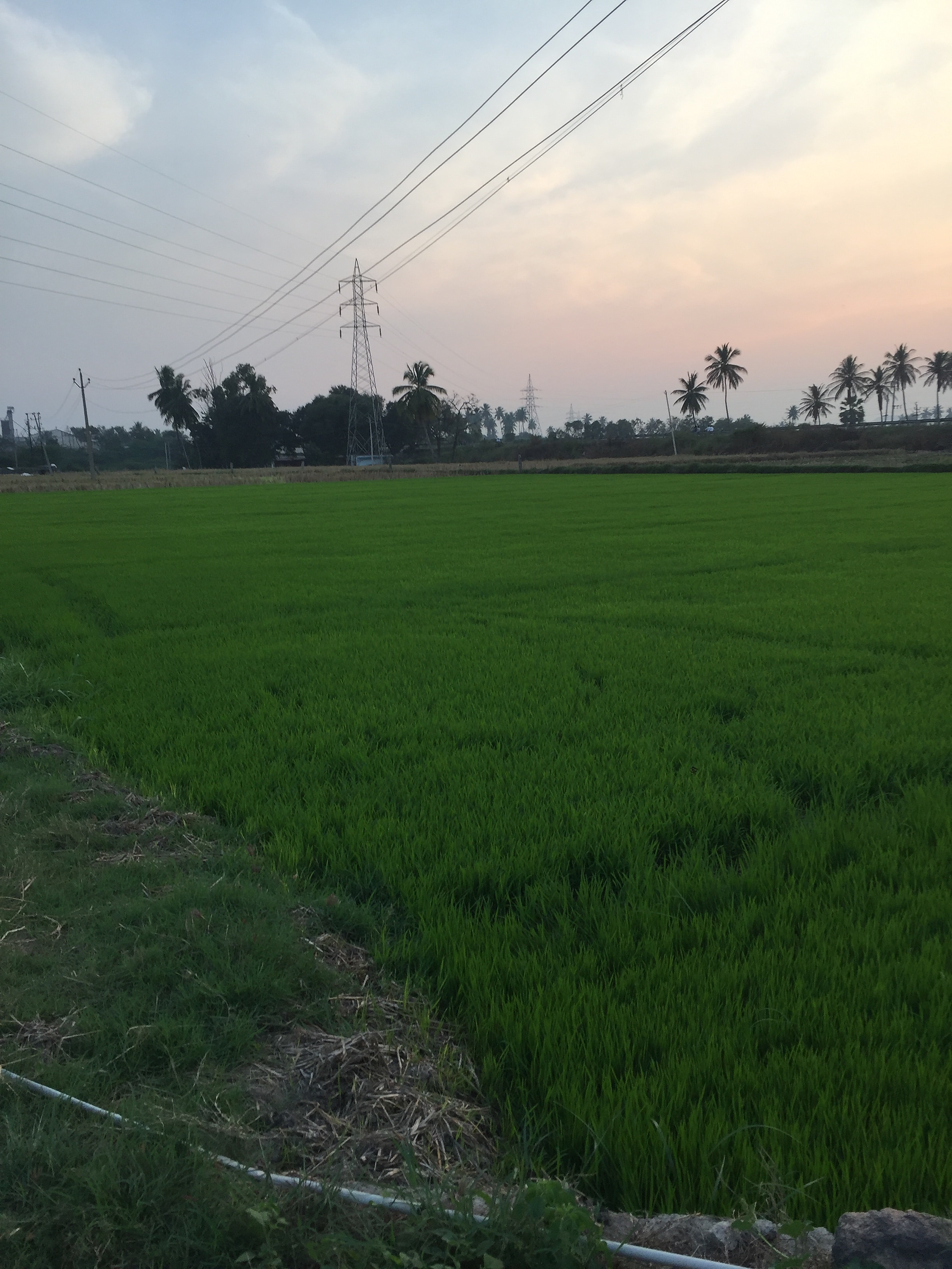 Royal Rich County | Gangavathi Hotel BOOK @ ₹1