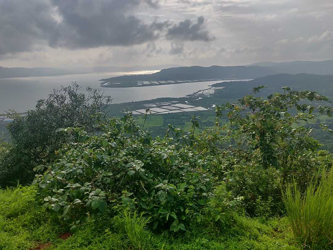 Forest Hills at Tala Tala Resort Price, Address & Reviews