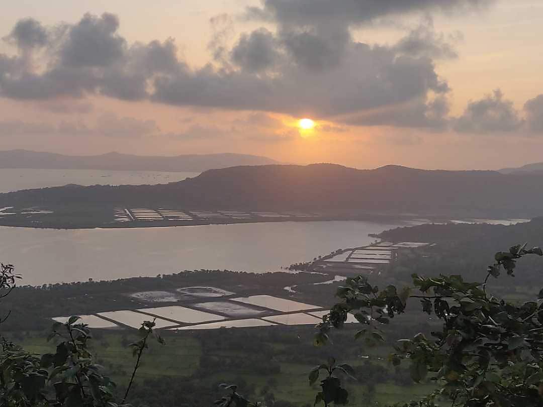 Forest Hills at Tala Tala Resort Price, Address & Reviews