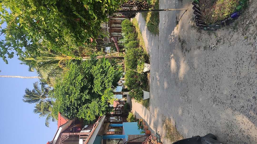 Photos of SUNDAZE BEACH RESORT - Resort in Havelock