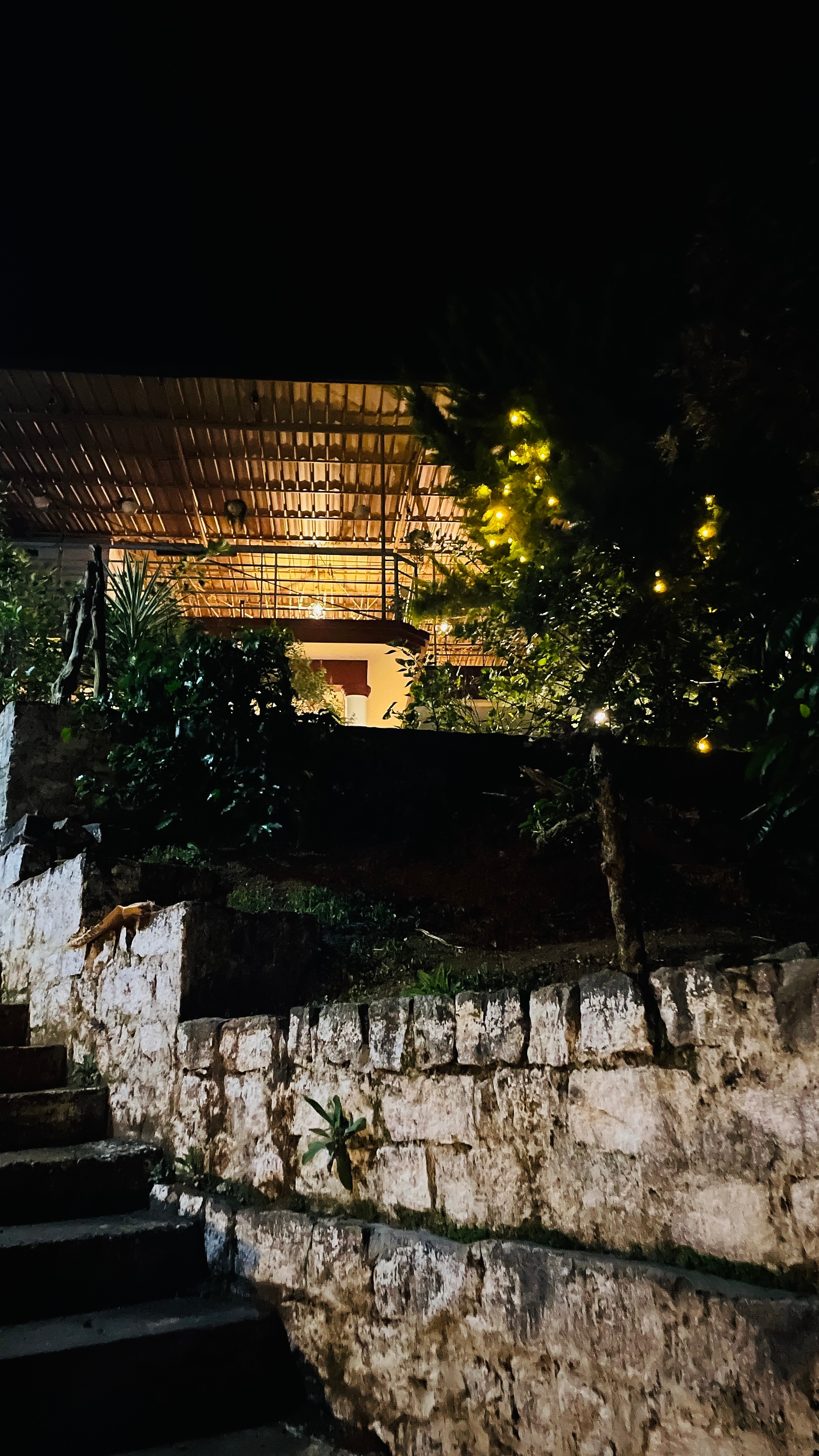Zostel Coorg (Madikeri) | Coorg Hostel BOOK @ ₹1