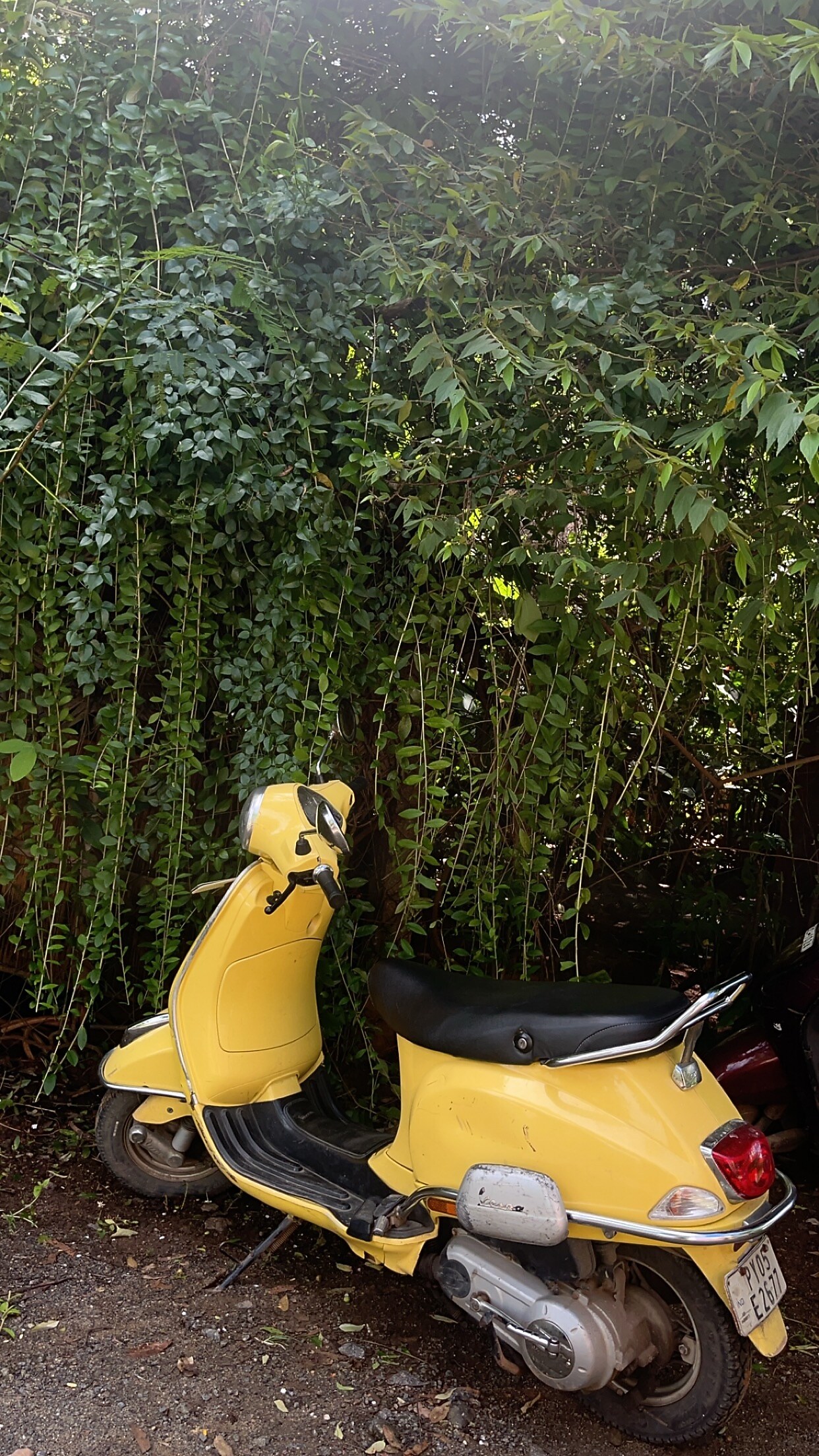 Reviews of Keeth House Phase I - Cottage in Auroville