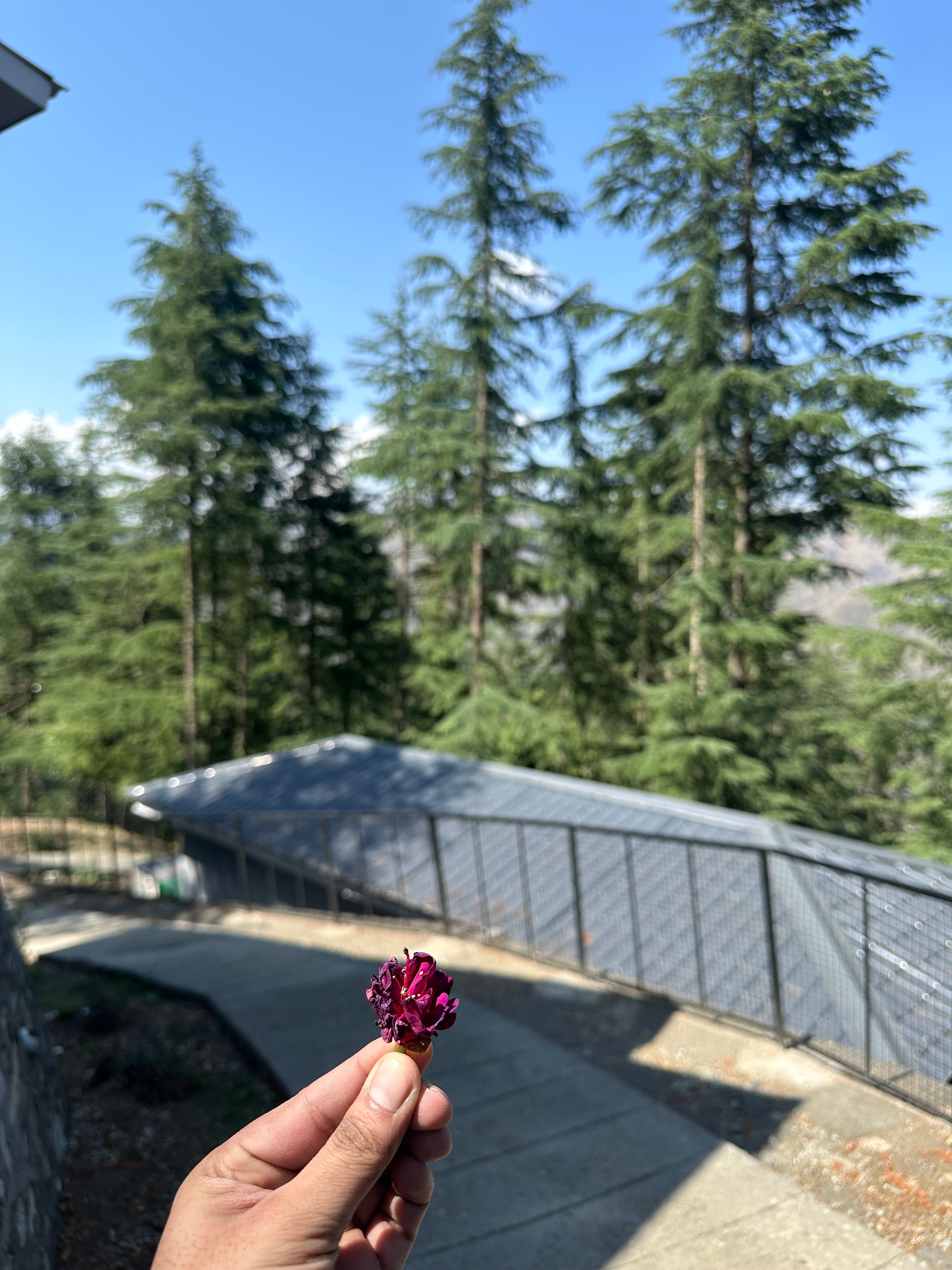 Ilika Resort 𝗕𝗢𝗢𝗞 Chakrata Cottage 𝘄𝗶𝘁𝗵 𝗙𝗥𝗘𝗘 𝗖𝗮𝗻𝗰𝗲𝗹𝗹𝗮𝘁𝗶𝗼𝗻