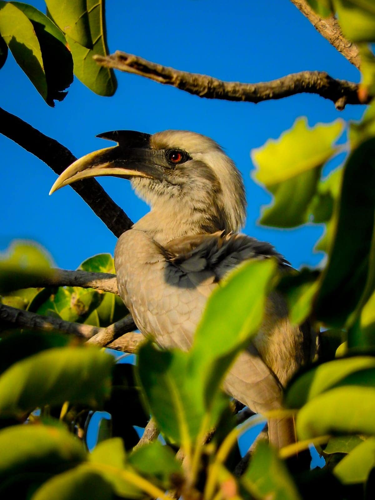 Photos of Bijay Niwas Palace, Bijaynagar - Hotel in Bijainagar