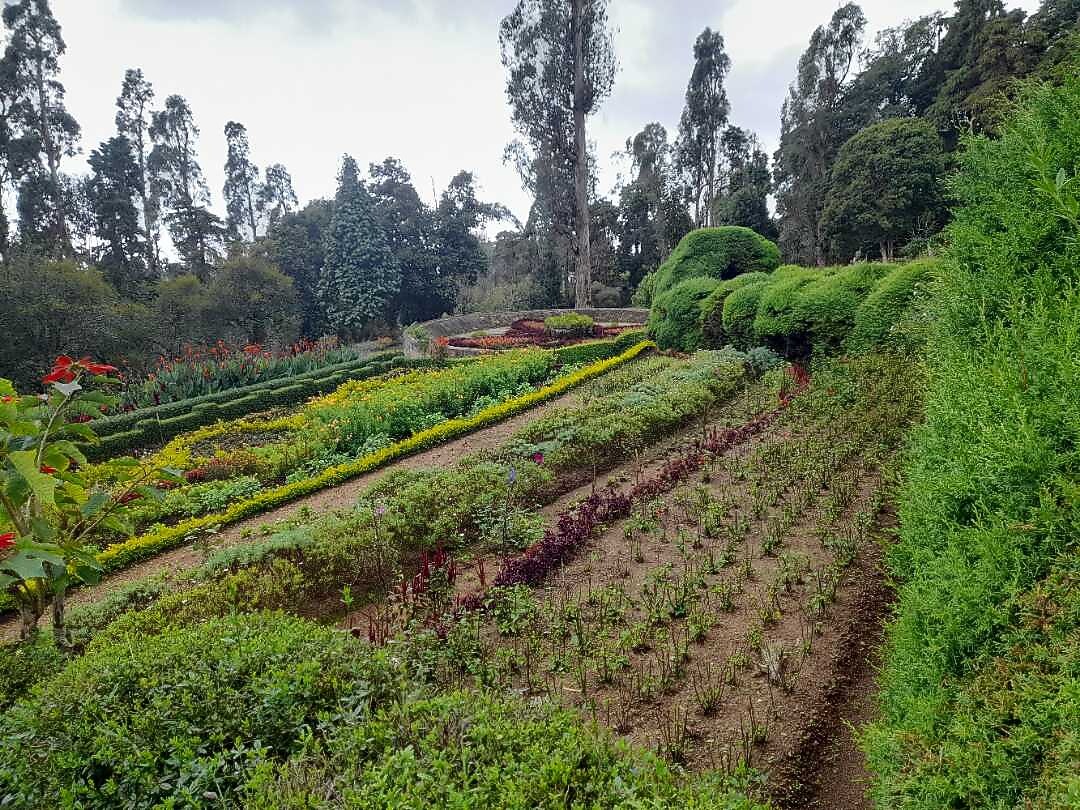 Hotel JC Grand 𝗕𝗢𝗢𝗞 Kodaikanal Hotel 𝘄𝗶𝘁𝗵 ₹𝟬 𝗣𝗔𝗬𝗠𝗘𝗡𝗧