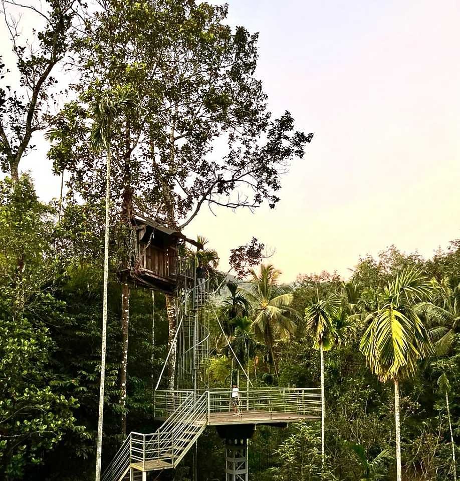 Thenmala Ecoresort 𝗕𝗢𝗢𝗞 Pathanapuram Resort 𝘄𝗶𝘁𝗵 ₹𝟬 𝗣𝗔𝗬𝗠𝗘𝗡𝗧