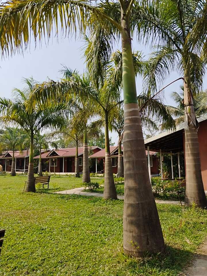 Reviews of Mango Tree Farm Resort | Farm Stay - Homestay in Karjat