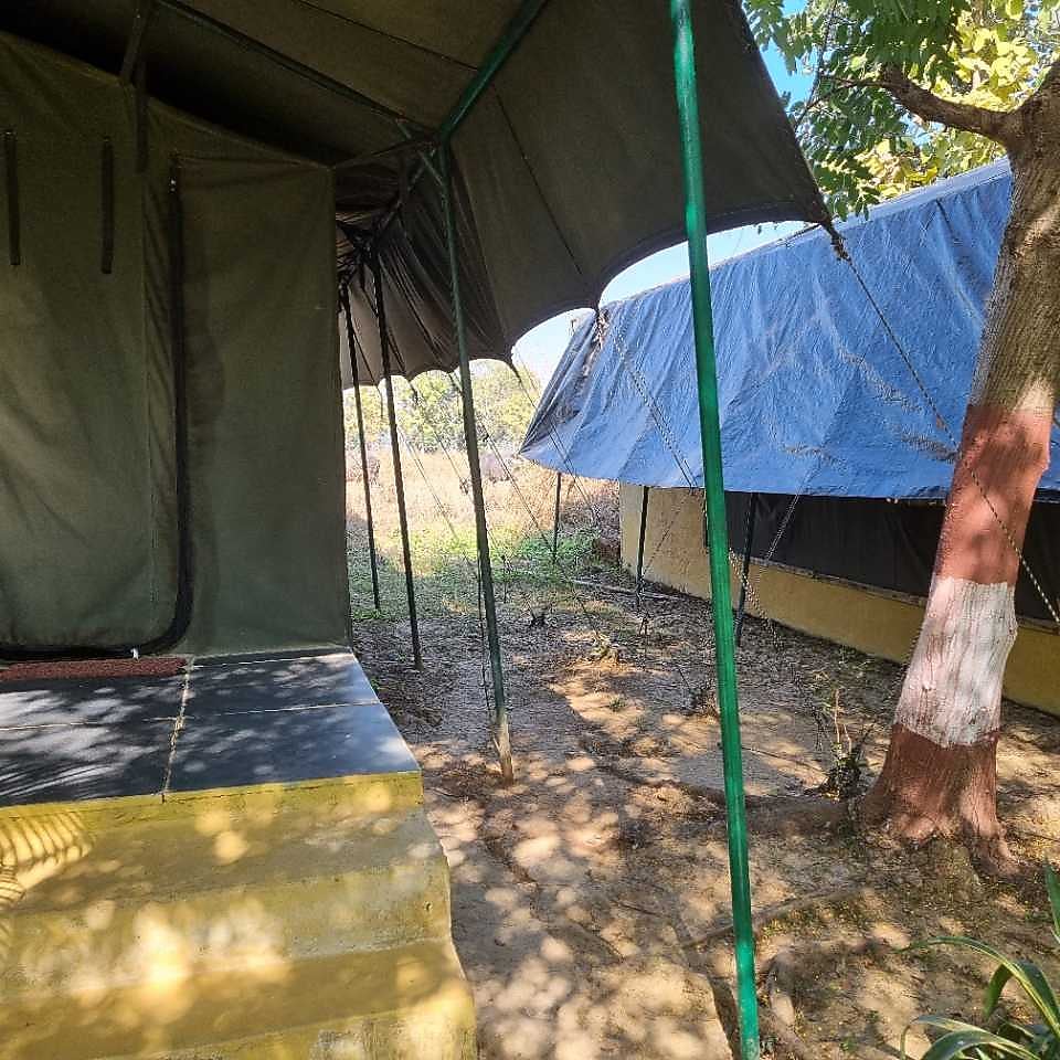 Nagzira Nature Camp | Rooms & Caretaker 𝗕𝗢𝗢𝗞 Tirora Camp 𝘄𝗶𝘁𝗵 𝗙𝗥𝗘𝗘 ...