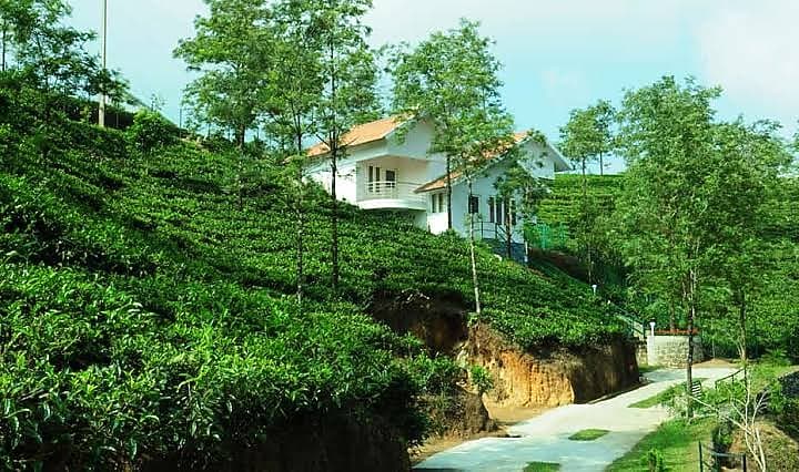 Photos of Falcon Crest - Resort in Vagamon