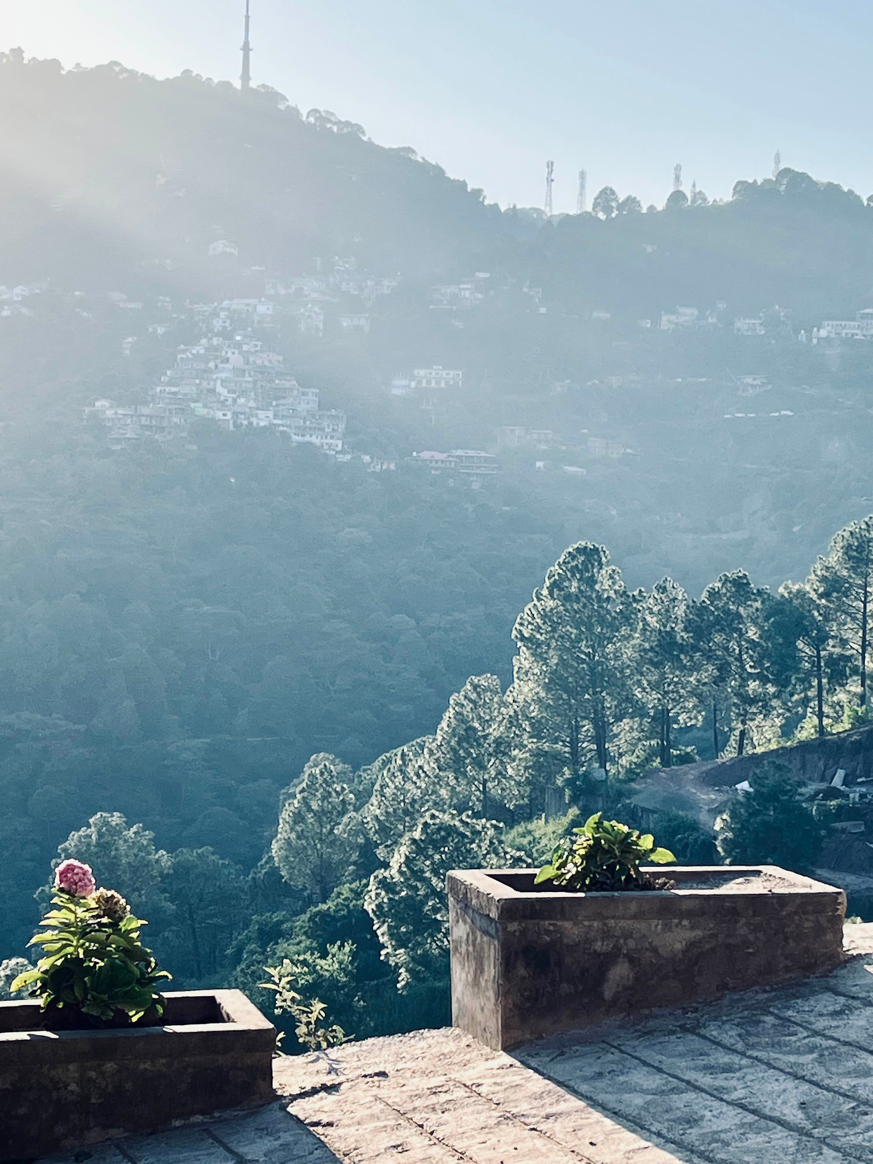 Pineland Resort and Chalets 헕헢헢헞 Kasauli Hotel