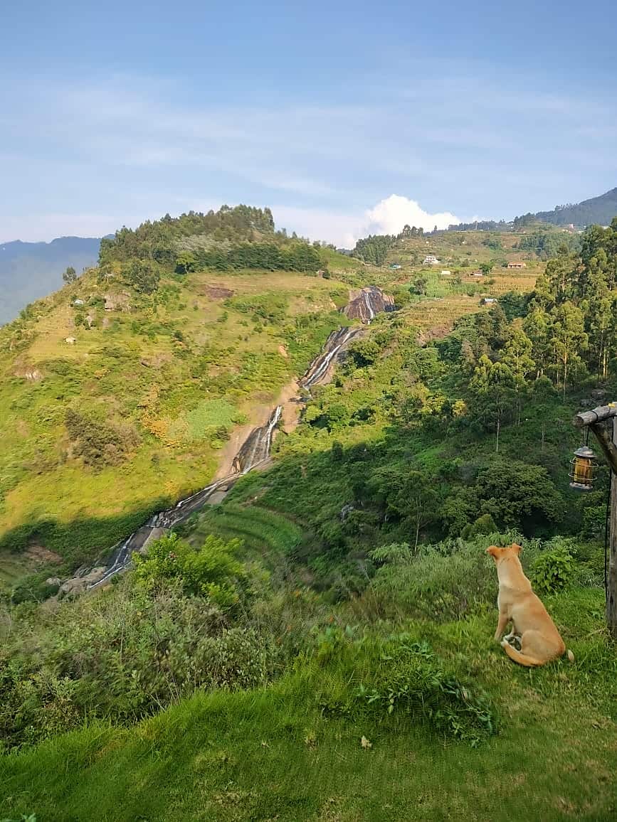 TeHyCa 𝗕𝗢𝗢𝗞 Kodaikanal Luxury Camp 𝘄𝗶𝘁𝗵 𝗙𝗥𝗘𝗘 𝗖𝗮𝗻𝗰𝗲𝗹𝗹𝗮𝘁𝗶𝗼𝗻