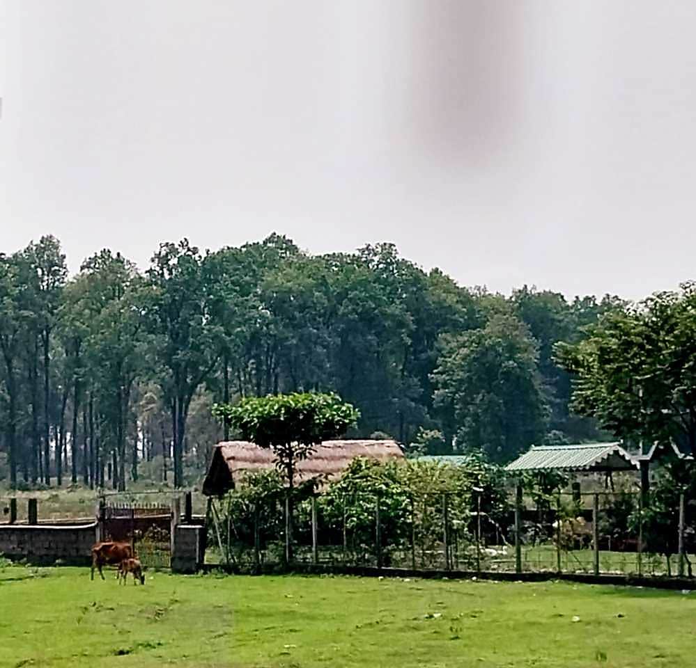 Photos of Yes Home - Murti Resort - Resort in Lataguri