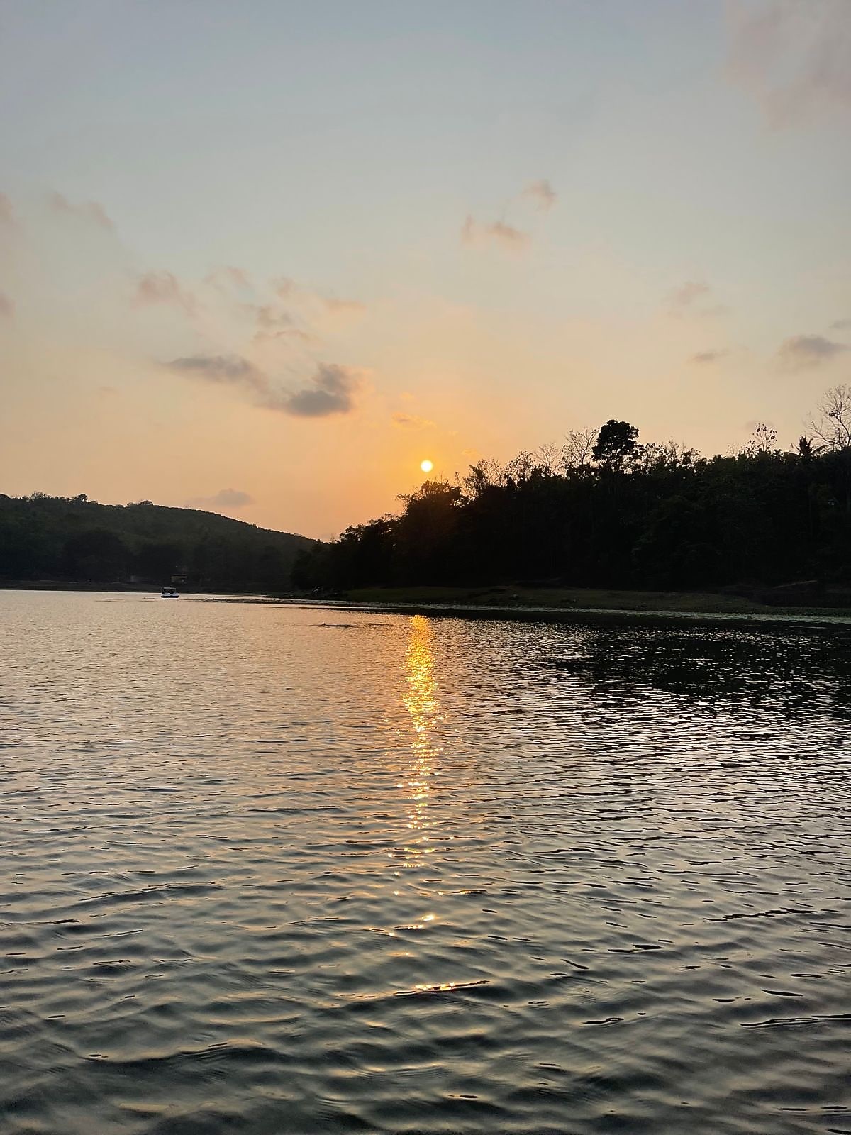 Olive Eva 𝗕𝗢𝗢𝗞 Cochin Hotel 𝘄𝗶𝘁𝗵 𝗙𝗥𝗘𝗘 𝗖𝗮𝗻𝗰𝗲𝗹𝗹𝗮𝘁𝗶𝗼𝗻