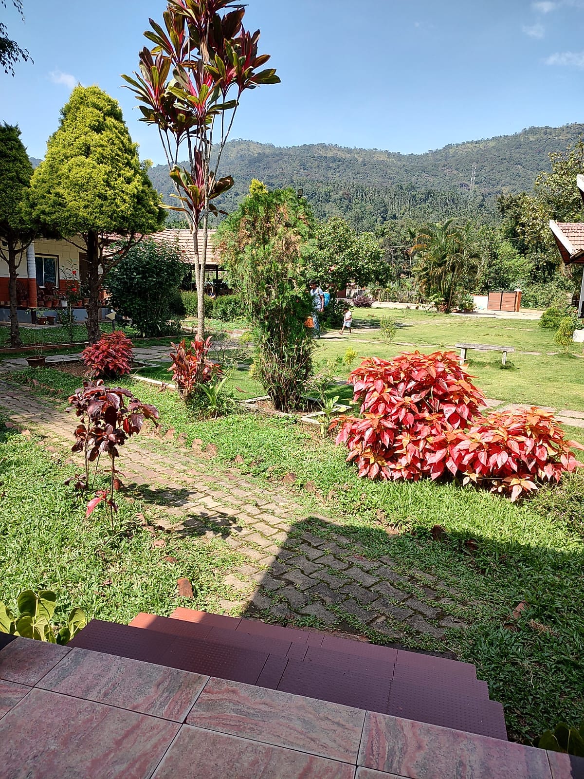 Nature Valley homestay 𝗕𝗢𝗢𝗞 Hornadu Homestay 𝘄𝗶𝘁𝗵 ₹𝟬 𝗣𝗔𝗬𝗠𝗘𝗡𝗧