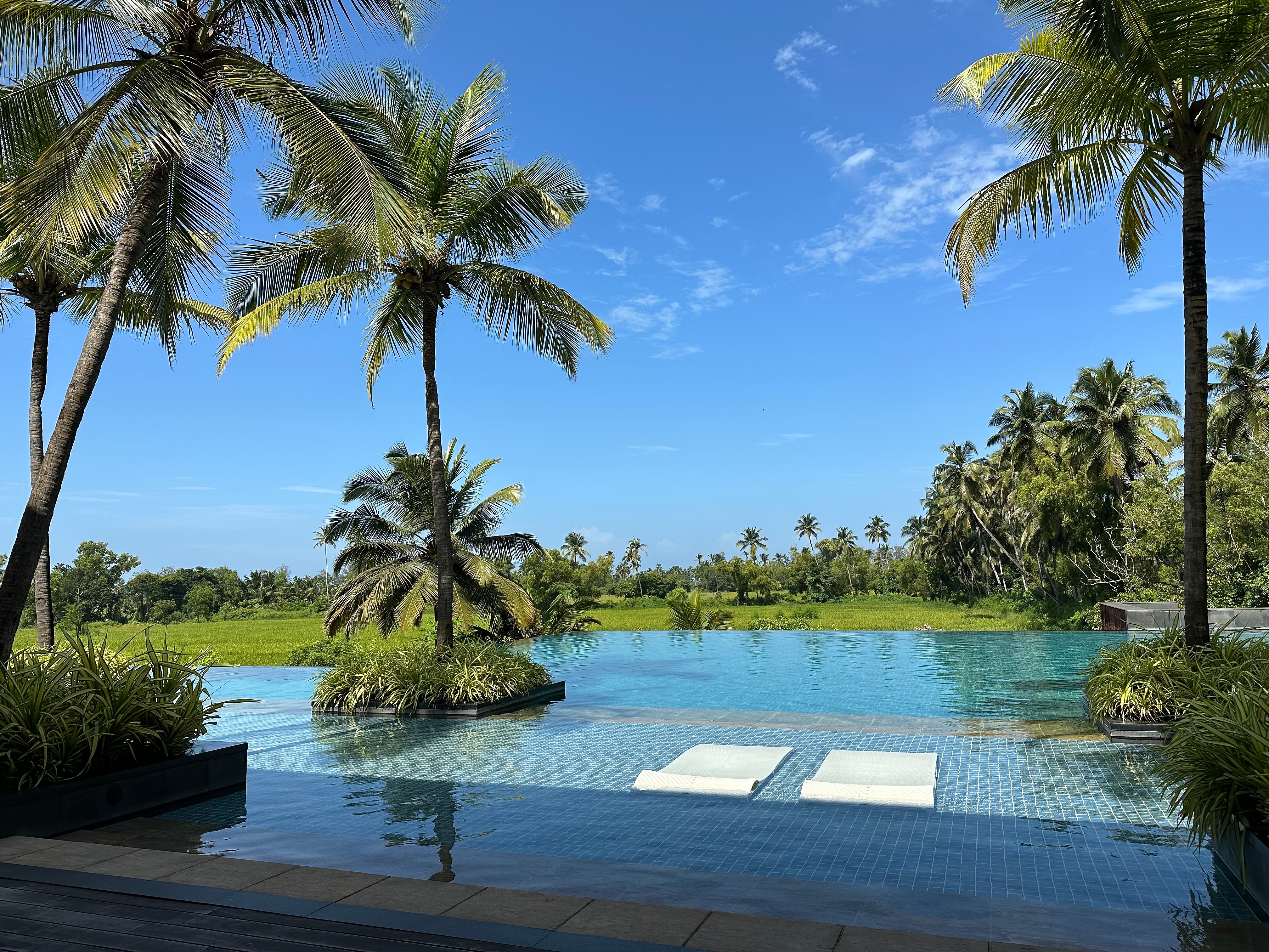 Alila Diwa Goa - a Hyatt brand 𝗕𝗢𝗢𝗞 Goa Resort 𝘄𝗶𝘁𝗵 𝗙𝗥𝗘𝗘 𝗖𝗮𝗻𝗰𝗲𝗹𝗹𝗮𝘁𝗶𝗼𝗻