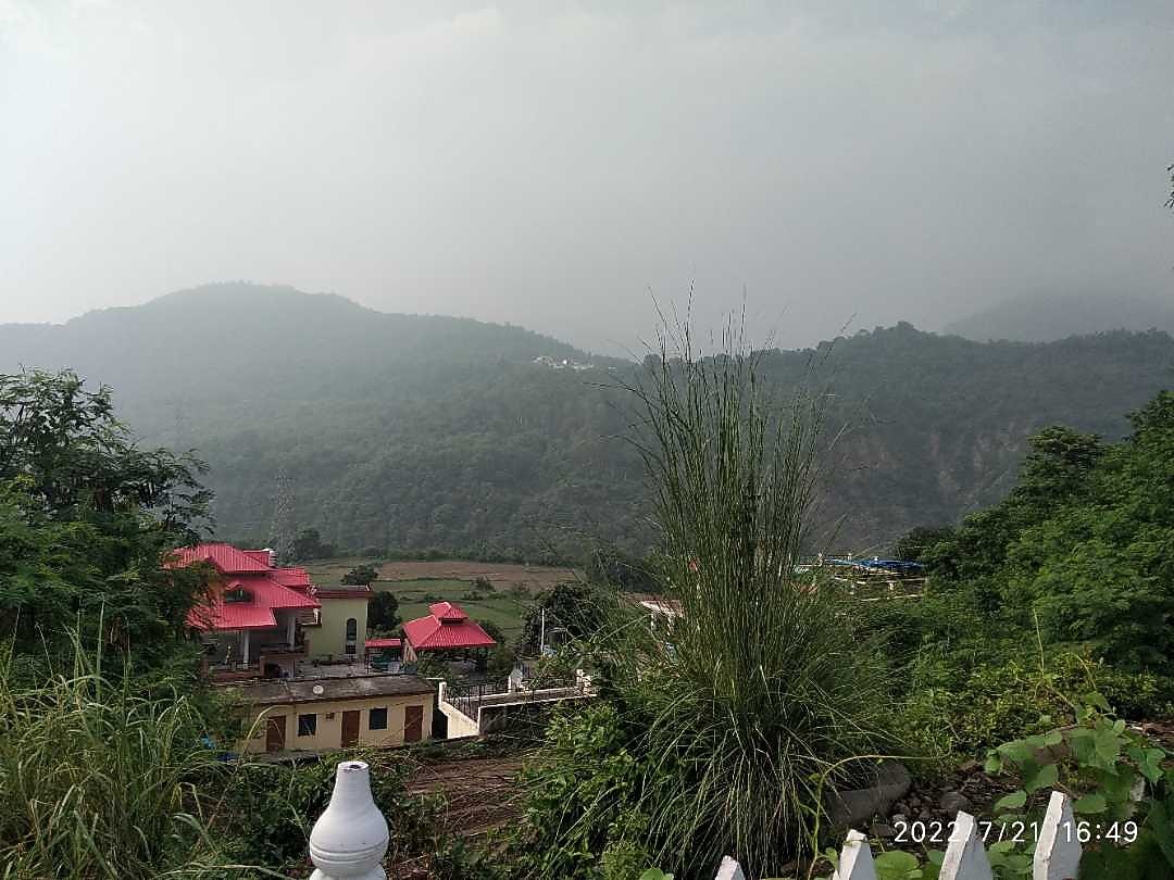 Photos of Treeoise Resort (A Unit of Sunder Kakkar Hotel) - Resort in Baddi
