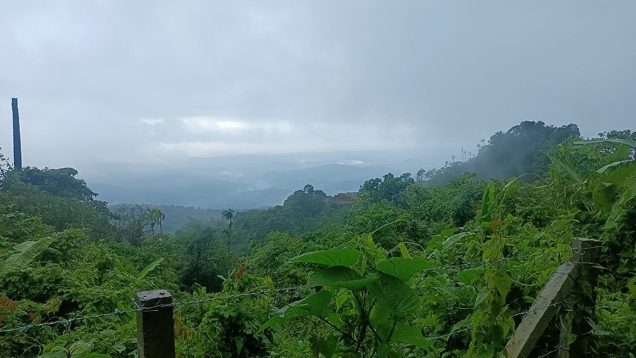 Photos of Paithal Suvasam - BnB in Talipparamba