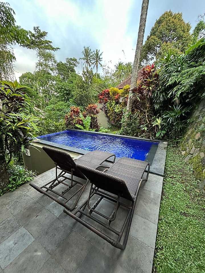 Ubud Heaven Sayan ,Bali 𝗕𝗢𝗢𝗞 Bali Villa 𝘄𝗶𝘁𝗵 𝗙𝗥𝗘𝗘 𝗖𝗮𝗻𝗰𝗲𝗹𝗹𝗮𝘁𝗶𝗼𝗻