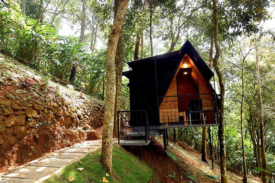 Photos of Garden Of Edens Thottam Cottages - Camp in Munnar