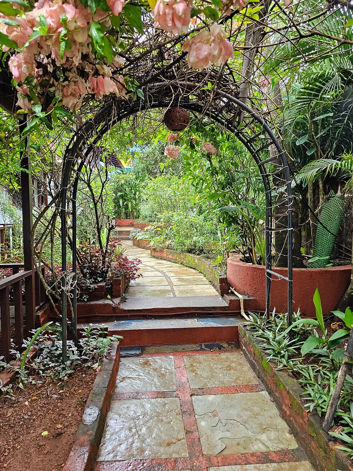 The Funky Monkey Hostel 𝗕𝗢𝗢𝗞 Goa Hostel 𝘄𝗶𝘁𝗵 ₹𝟬 𝗣𝗔𝗬𝗠𝗘𝗡𝗧