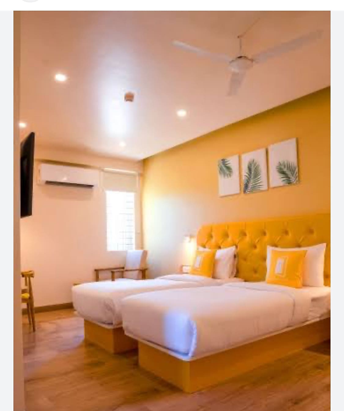 Bloom Hotel HSR Layout Sector 3 𝗕𝗢𝗢𝗞 Bangalore Hotel 𝘄𝗶𝘁𝗵 𝗙𝗥𝗘𝗘 𝗖𝗮𝗻𝗰𝗲𝗹𝗹𝗮𝘁𝗶𝗼𝗻