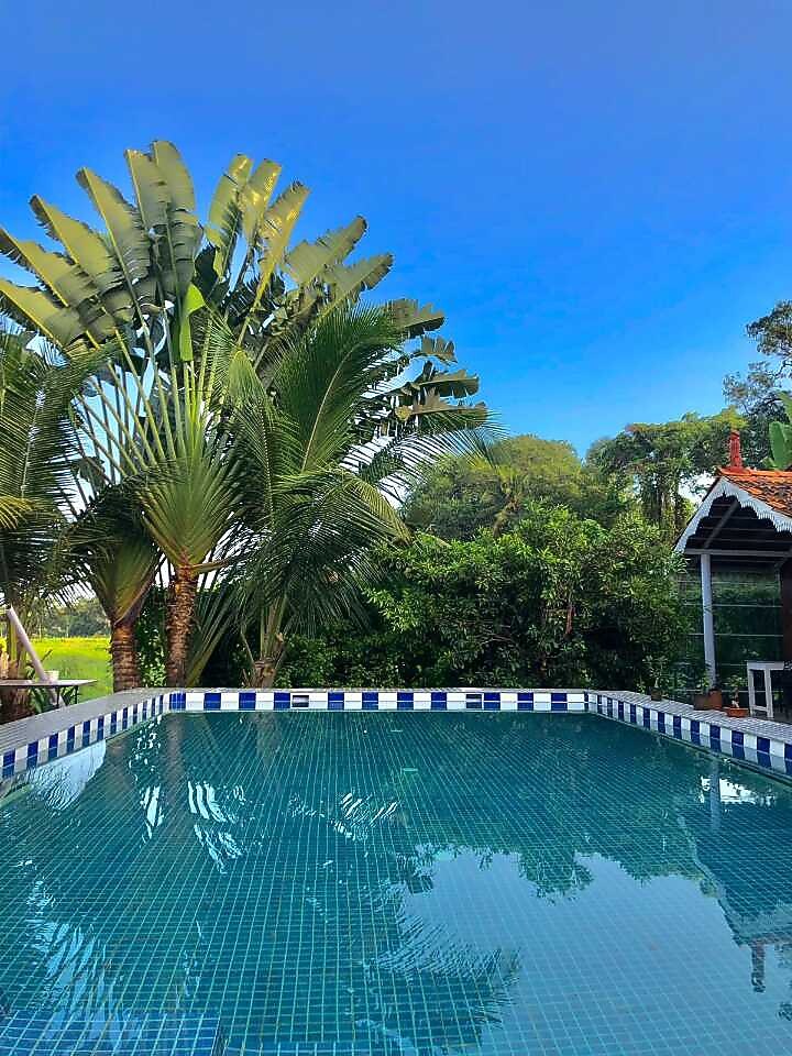 The Golden Rice 𝗕𝗢𝗢𝗞 Goa Apart-hotel 𝘄𝗶𝘁𝗵 𝗙𝗥𝗘𝗘 𝗖𝗮𝗻𝗰𝗲𝗹𝗹𝗮𝘁𝗶𝗼𝗻
