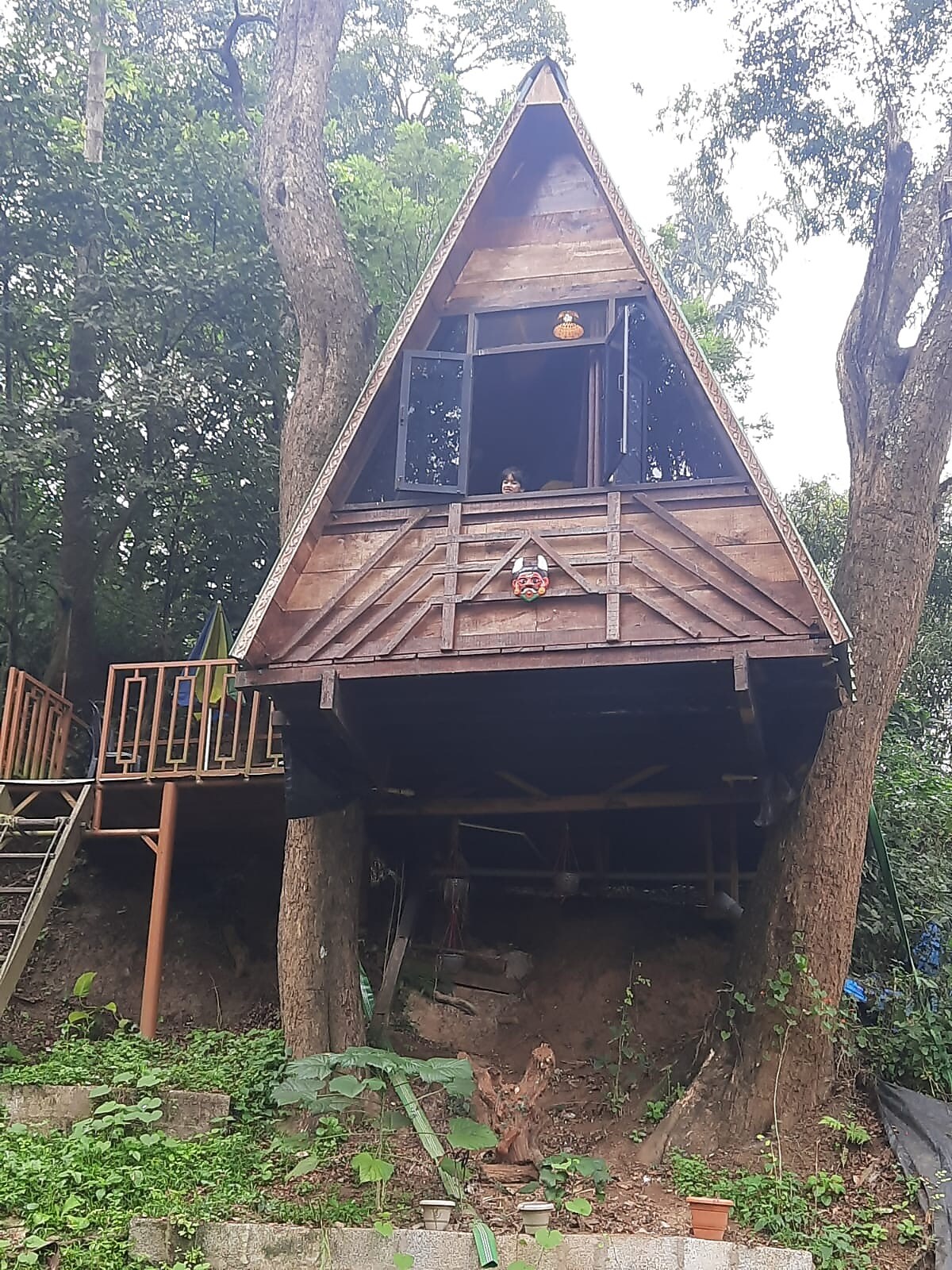 The EcoNest Treehouse | Rooms & Caretaker 𝗕𝗢𝗢𝗞 Coorg Tree house 𝘄𝗶𝘁𝗵 ₹𝟬 ...
