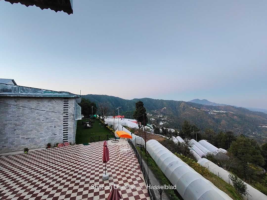 MOUNTAIN VIEW RESORT , CHAIL | Chail Resort BOOK @ ₹1