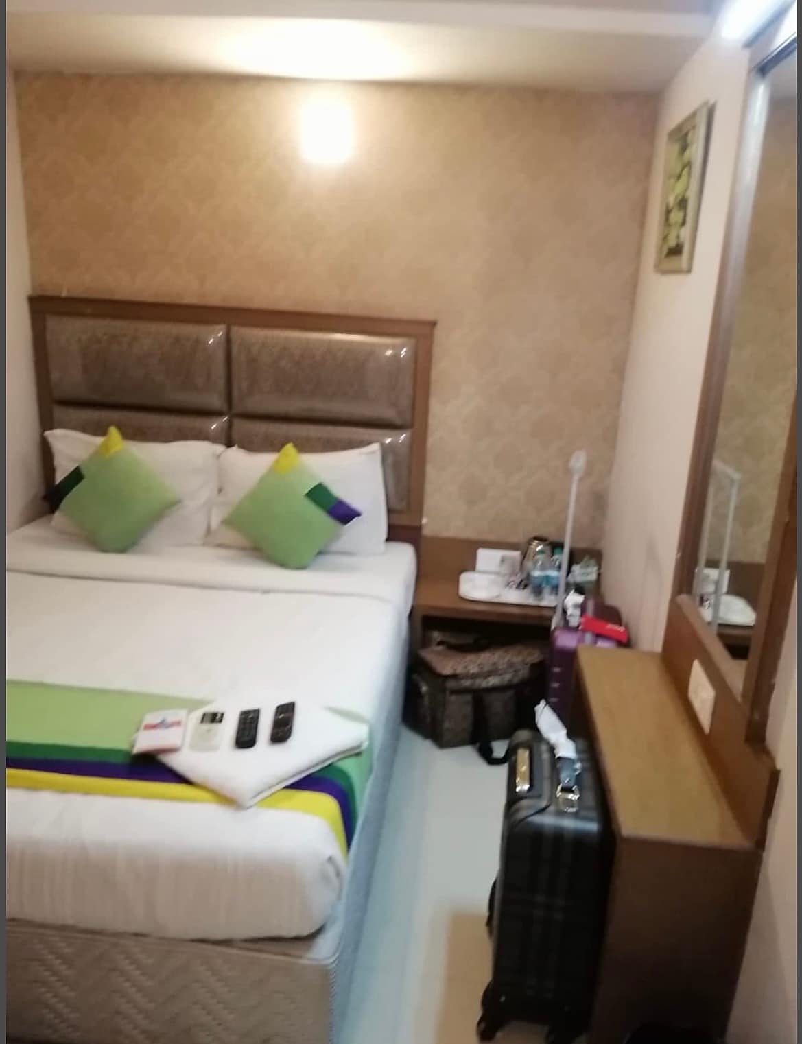 Photos of Treebo Stellar Inn - Hotel in Delhi