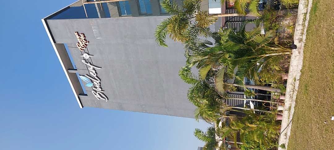 Blue Leaf by Papaya Tree Hotels | Indore Hotel BOOK @ ₹1