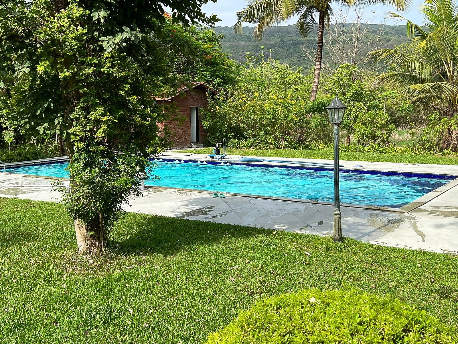SaffronStays Alma Grove, Kashid 𝗕𝗢𝗢𝗞 Murud Janjira Villa 𝘄𝗶𝘁𝗵 𝗙𝗥𝗘𝗘 ...