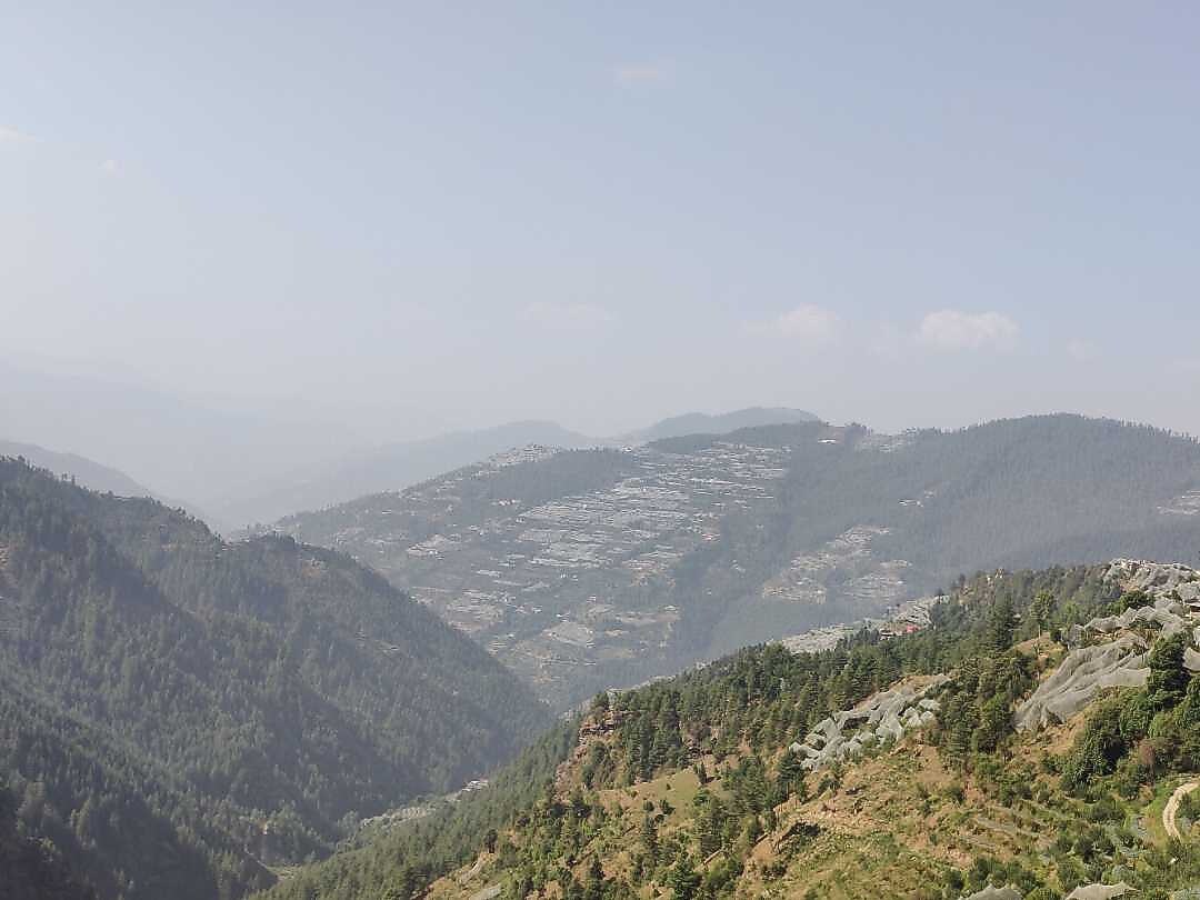 Photos of Mountain Nest,Narkanda - Hotel in Narkanda