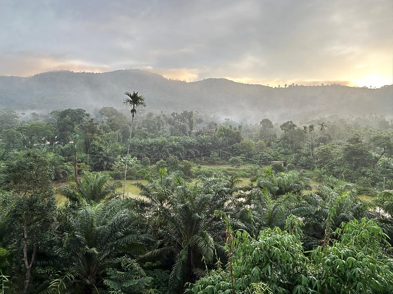 Heritage Hill View Resort Coorg 𝗕𝗢𝗢𝗞 Coorg Homestay 𝘄𝗶𝘁𝗵 𝗙𝗥𝗘𝗘 𝗖𝗮𝗻𝗰𝗲𝗹𝗹𝗮𝘁𝗶𝗼𝗻