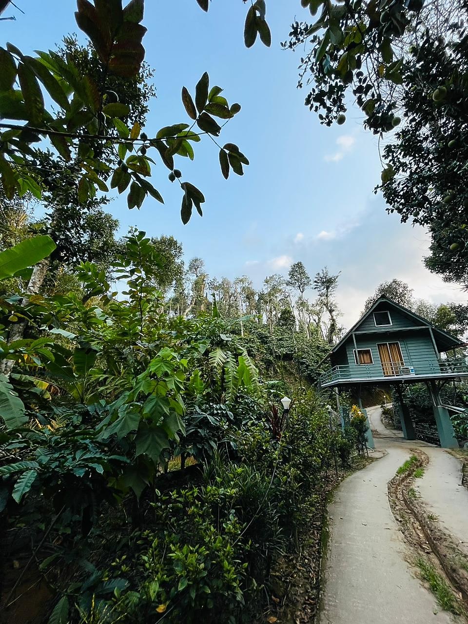 Falling Water Resort by Travent Mug 𝗕𝗢𝗢𝗞 Sakleshpur Resort 𝘄𝗶𝘁𝗵 ₹𝟬 𝗣𝗔𝗬𝗠𝗘𝗡𝗧