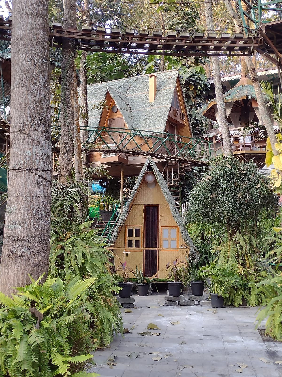 Photos of Betel Valley Tree Resort - Resort in Gangtok