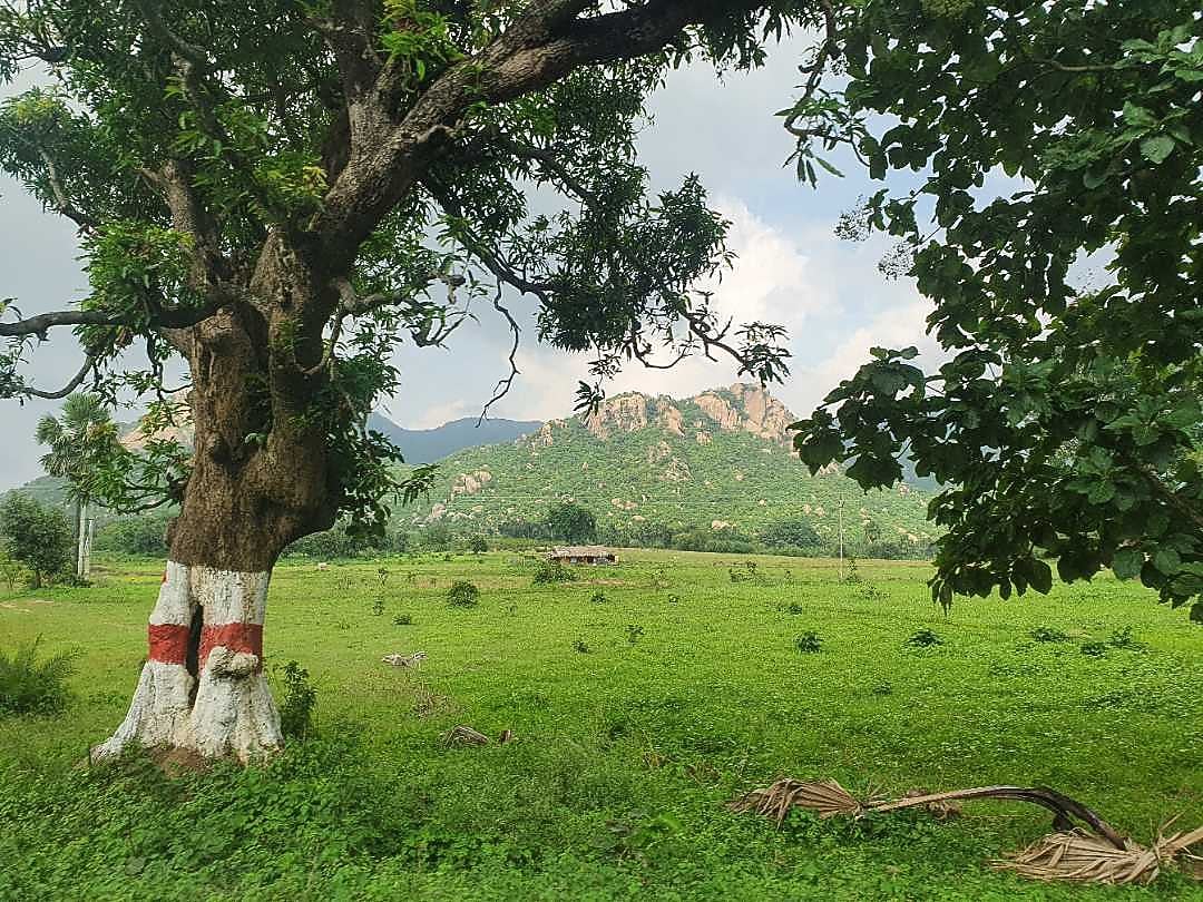 Hotel Mahadev Palace 100% Money Back 𝗕𝗢𝗢𝗞 Deoghar Hotel 𝘄𝗶𝘁𝗵 𝗙𝗥𝗘𝗘 ...