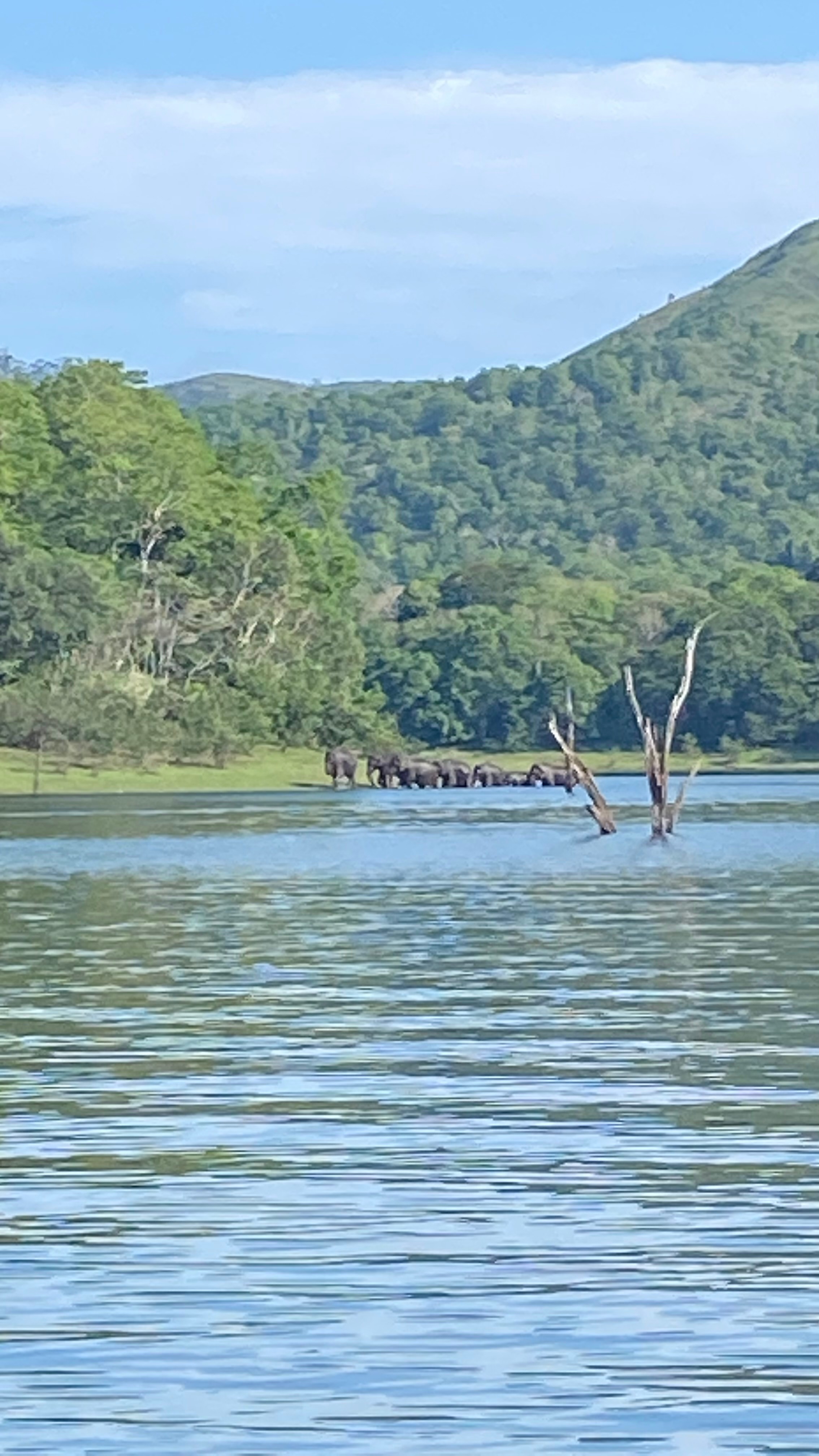 Periyar Meadows | Thekkady Hotel BOOK with ₹0 PAYMENT