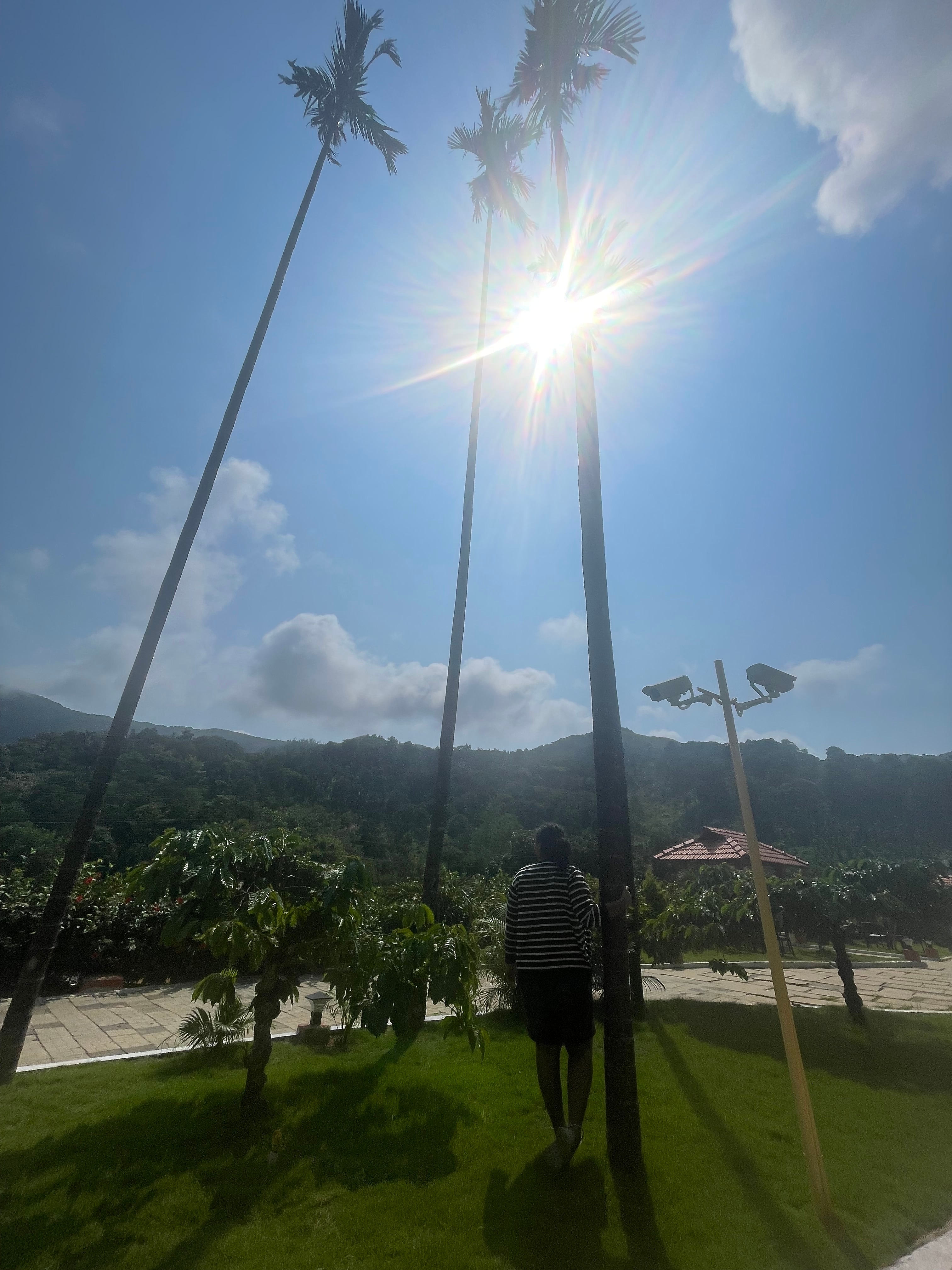 Hill Crest Resort - Coorg 𝗕𝗢𝗢𝗞 Coorg Resort 𝘄𝗶𝘁𝗵 ₹𝟬 𝗣𝗔𝗬𝗠𝗘𝗡𝗧