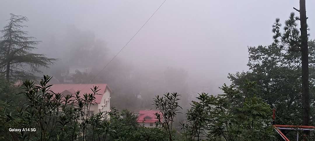 Photos of Sunrise View Homestay - Homestay in Kasauli